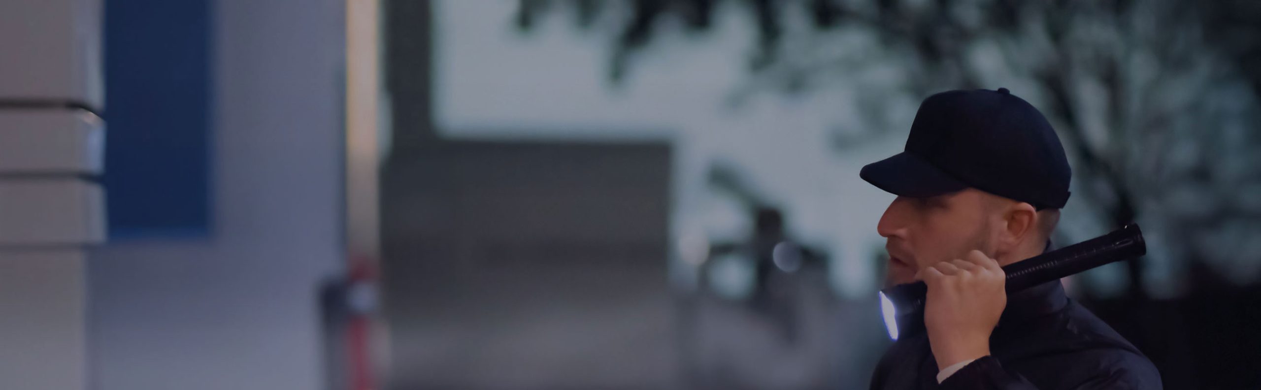 The-guard-banner | Pyronix UK & ROI